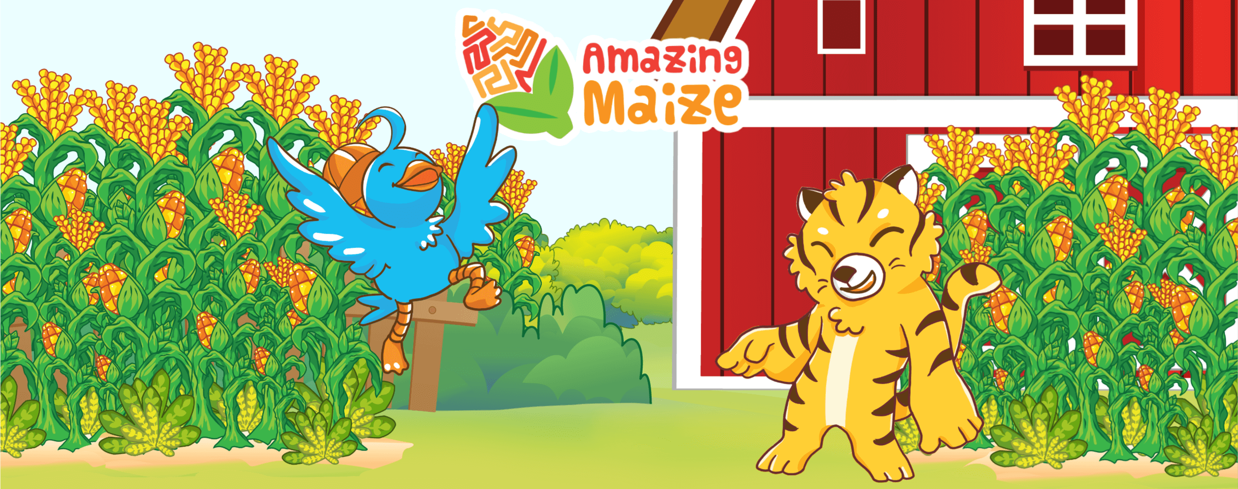 Amazing Maize - ZOOMOOV